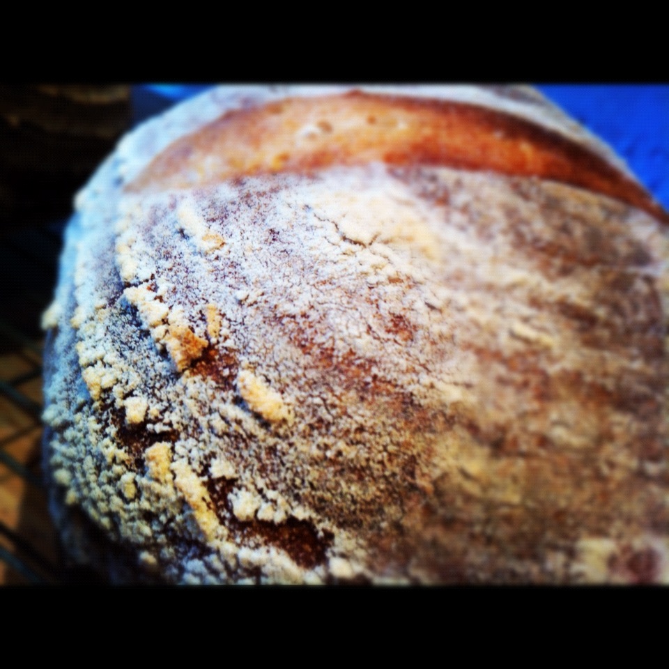 sour-dough-loaf | British Association of Paediatric Surgeons