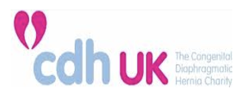 Congenital Diaphragmatic Hernia International Symposium Meeting ...