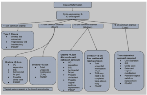 2019 Gastrointestinal Meetings at a Glance | British Association of ...