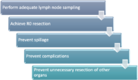 Wilms’ Tumour (nephroblastoma) | British Association of Paediatric Surgeons